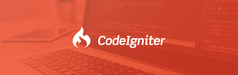 Codeigniter Web Development Services Codeigniter Developers